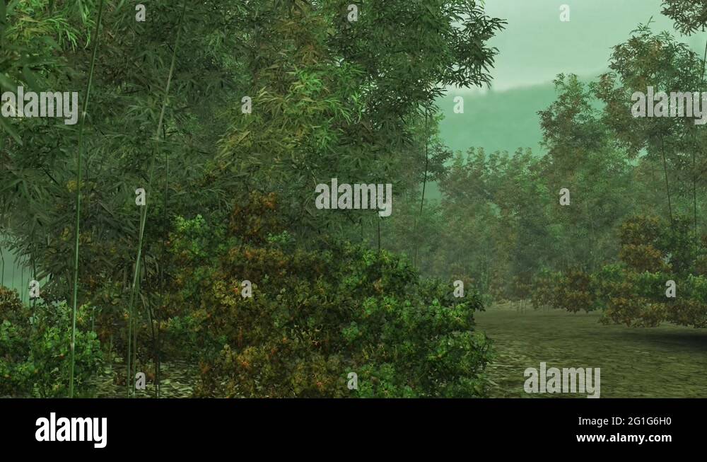 Walking in the bamboo forest,3d game animation scene Stock Video ...