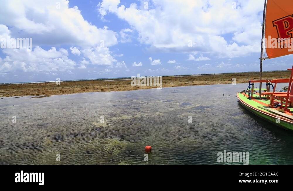 Porto de galinhas reef Stock Videos & Footage - HD and 4K Video Clips ...