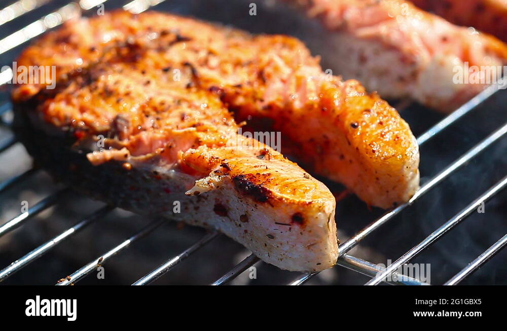 Salmon grouper Stock Videos & Footage - HD and 4K Video Clips - Alamy