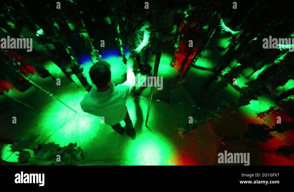 Man walks around a pole in labyrinth illuminated stroboscopic Stock ...