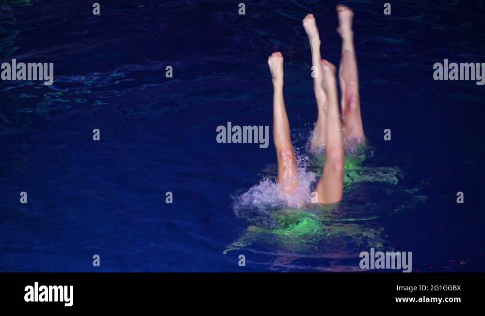 Legs of two swimmers performing in Swimming Pool Stock Video Footage ...