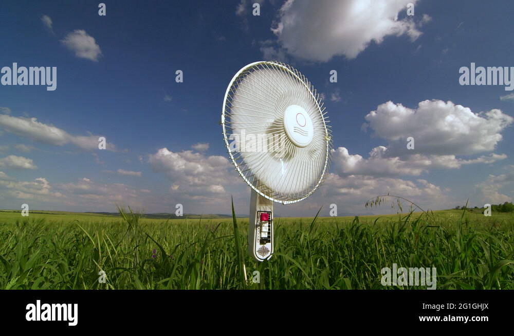 Fan on field Stock Videos & Footage - HD and 4K Video Clips - Alamy