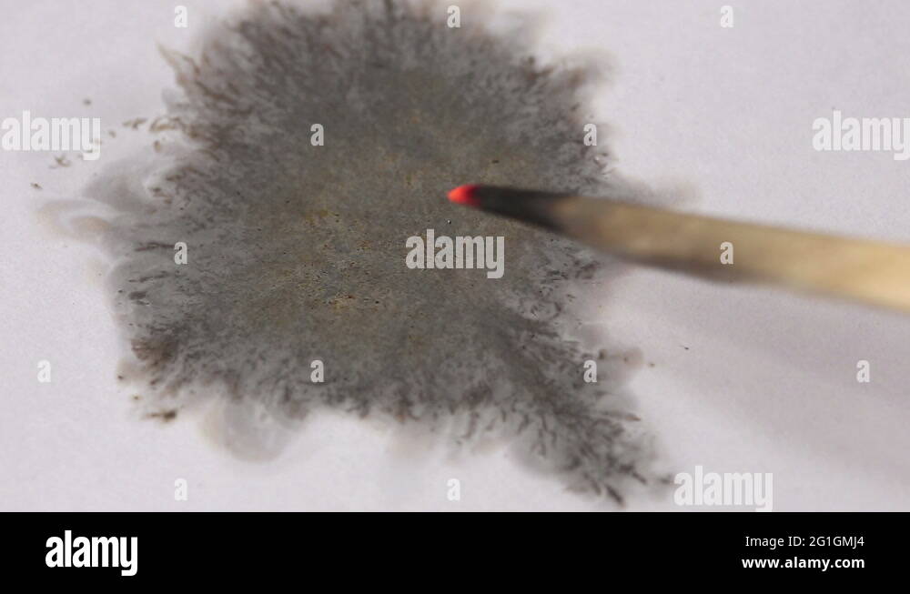 Fulminate Stock Videos & Footage - HD and 4K Video Clips - Alamy