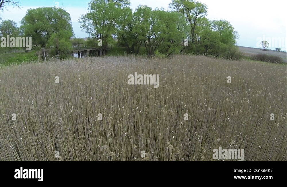 Cane bridge Stock Videos & Footage - HD and 4K Video Clips - Alamy