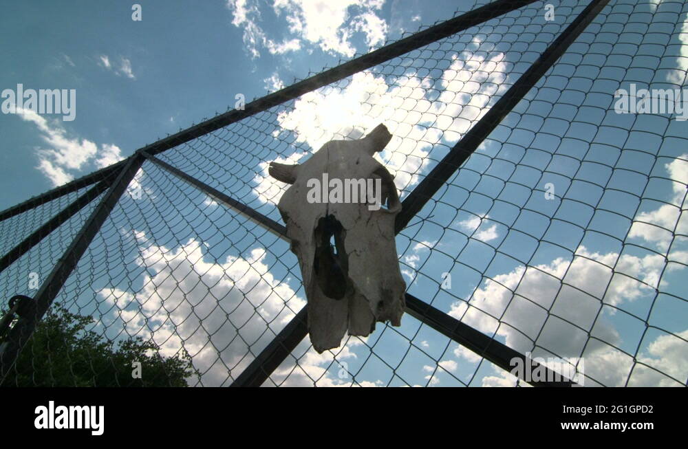 Iron skull Stock Videos & Footage - HD and 4K Video Clips - Alamy