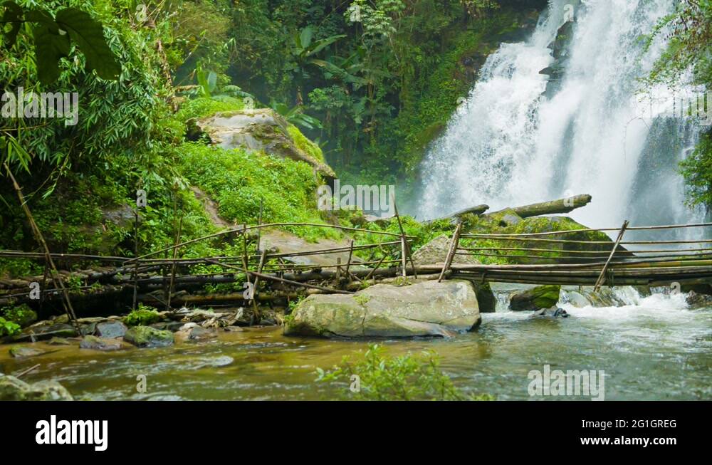 Panoramic bamboo forest chiang Stock Videos & Footage - HD and 4K Video ...