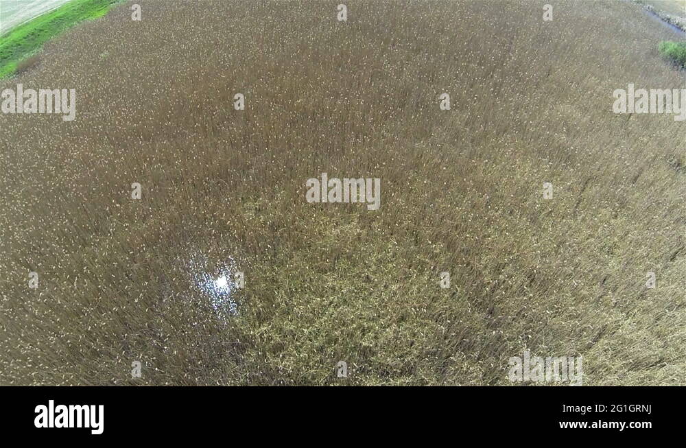 Ral icon Stock Videos & Footage - HD and 4K Video Clips - Alamy