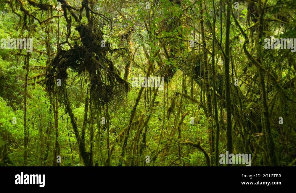 Usual environment Stock Videos & Footage - HD and 4K Video Clips - Alamy