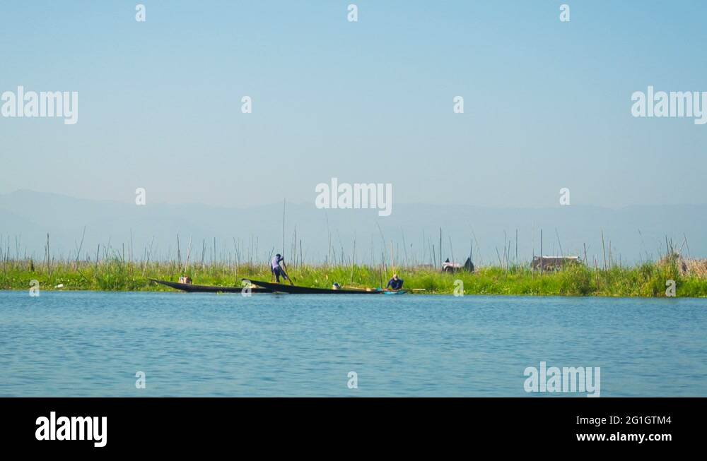 Water plantations Stock Videos & Footage - HD and 4K Video Clips - Alamy