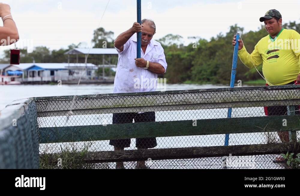 Amazon fishing Stock Videos & Footage - HD and 4K Video Clips - Alamy