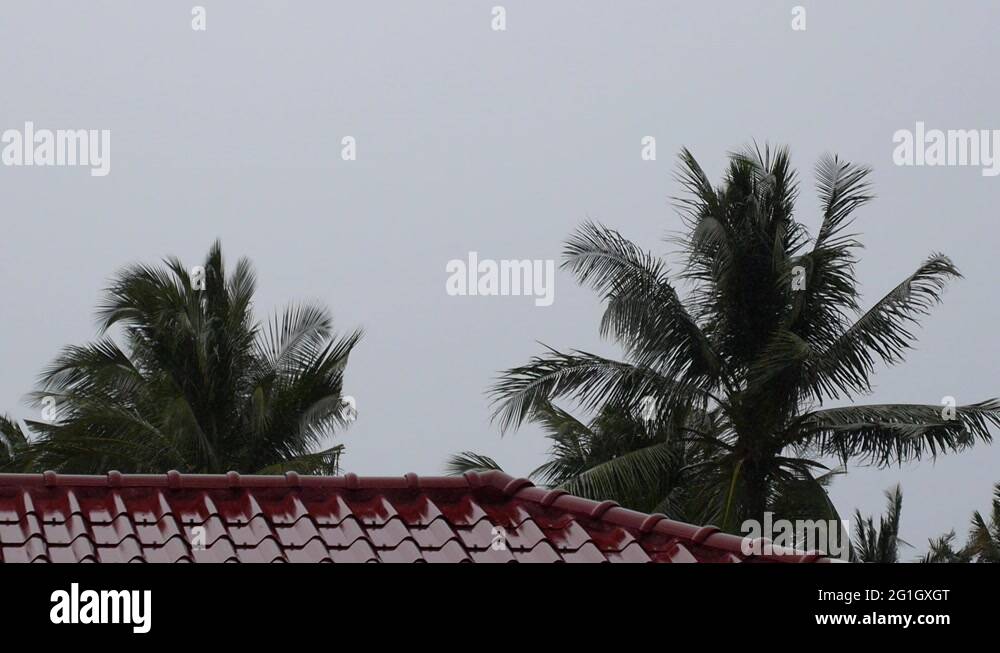 Wet house Stock Videos & Footage - HD and 4K Video Clips - Alamy