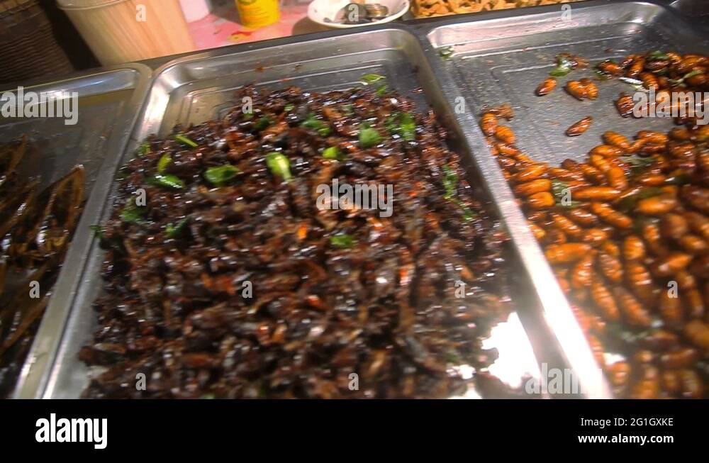 Selling fried insects at the night market in Koh Samui Thailand Stock ...