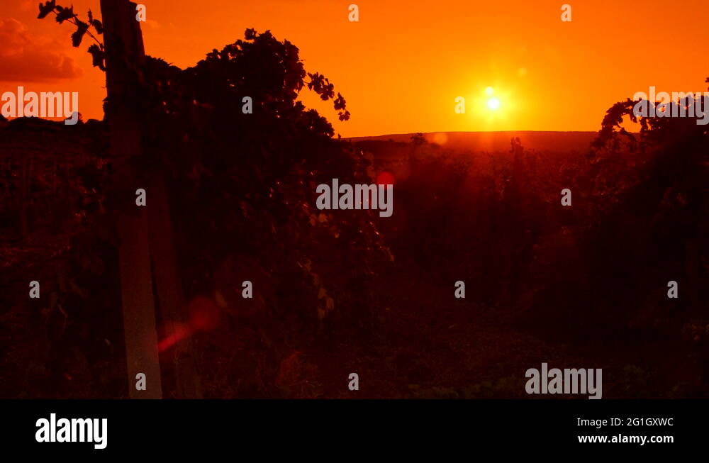 Red sun in the sky Stock Videos & Footage - HD and 4K Video Clips - Alamy