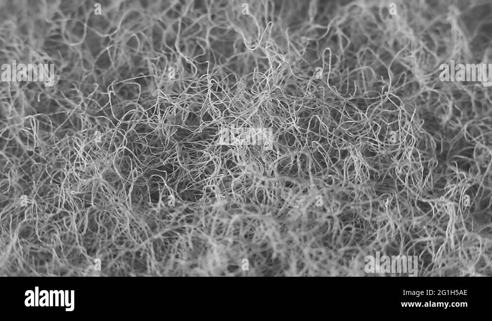 Wool and fabric Stock Videos & Footage - HD and 4K Video Clips - Alamy