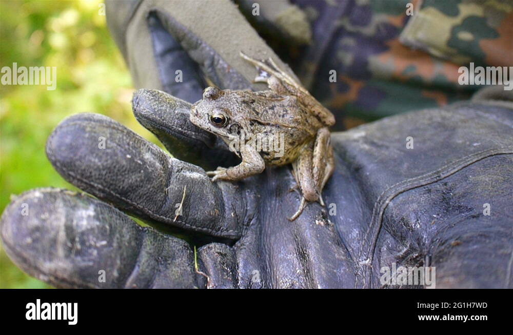 Bundeswehr soldier Stock Videos & Footage - HD and 4K Video Clips - Alamy