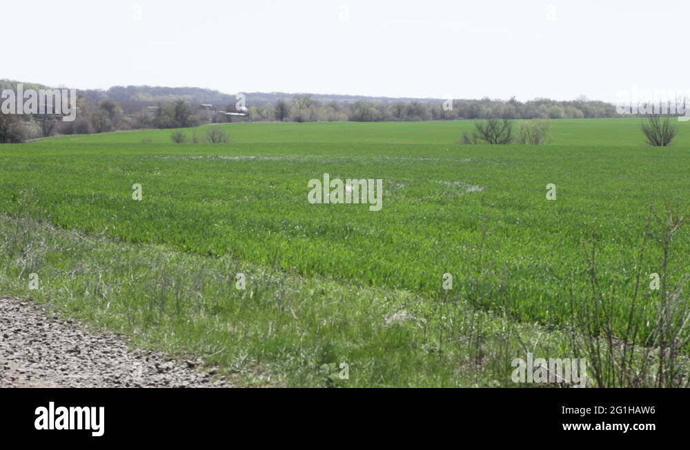 wind blows dust Stock Video Footage - Alamy