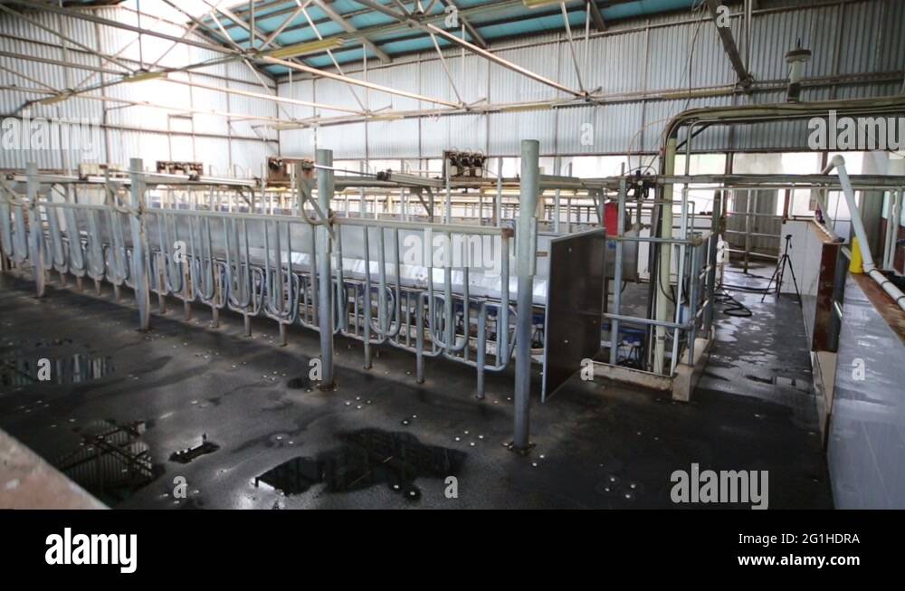 Empty clean hangar with equipment for a cow-washer in farm Stock Video ...