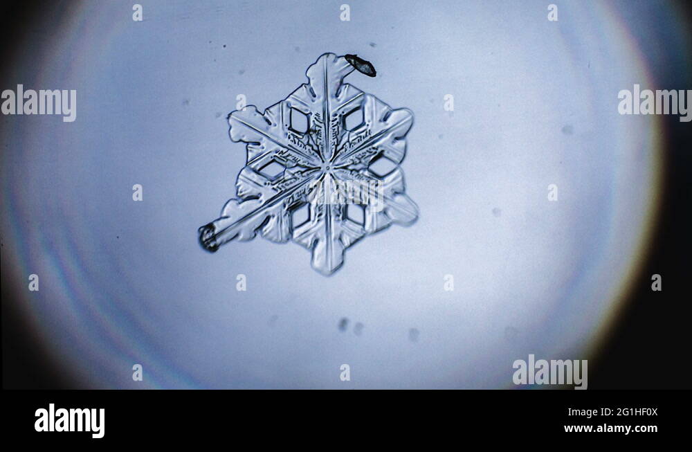 Snowflake frame Stock Videos & Footage - HD and 4K Video Clips - Alamy