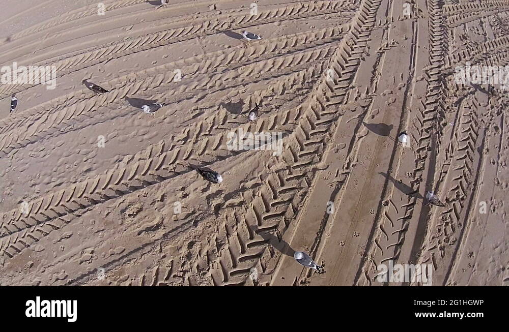 Sand beach many footprints Stock Videos & Footage - HD and 4K Video ...