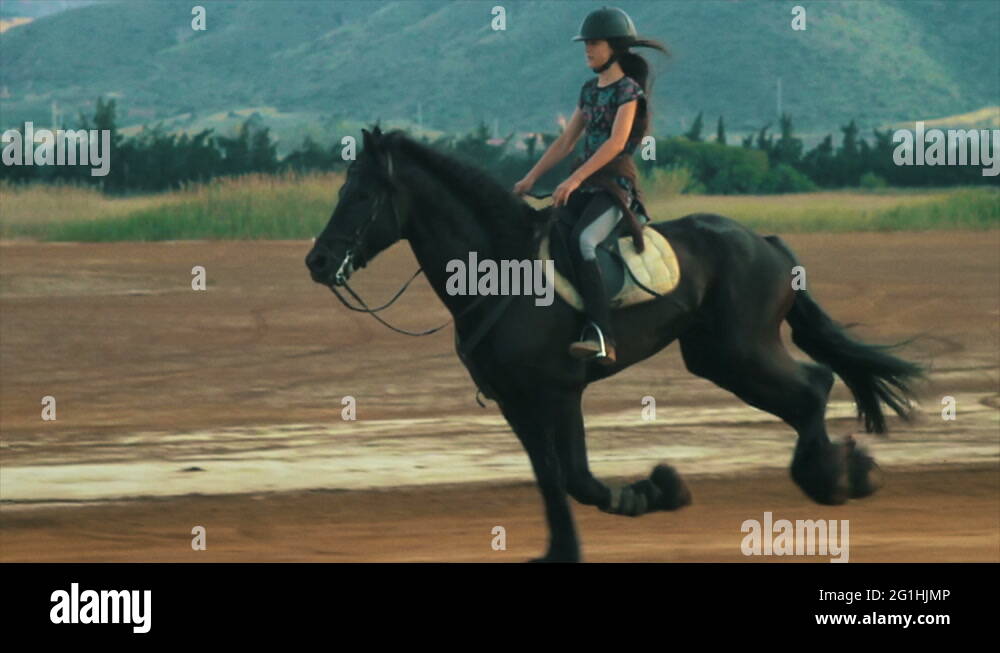 Black girl horse galloping Stock Videos & Footage - HD and 4K Video ...