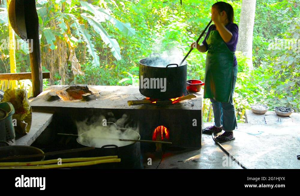 Jungle coloring Stock Videos & Footage - HD and 4K Video Clips - Alamy