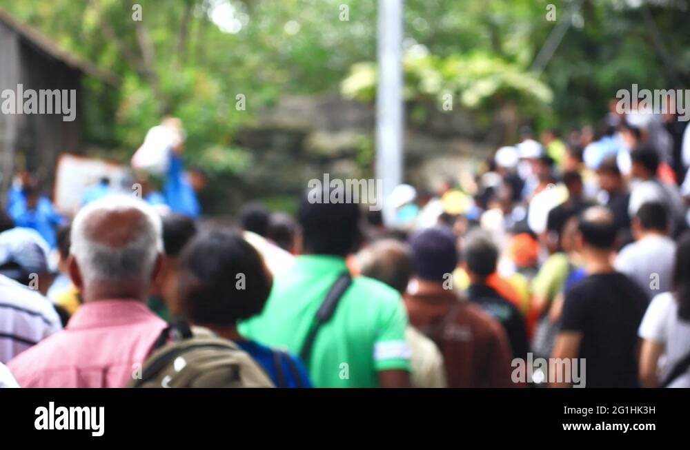 Vocal animals Stock Videos & Footage - HD and 4K Video Clips - Alamy