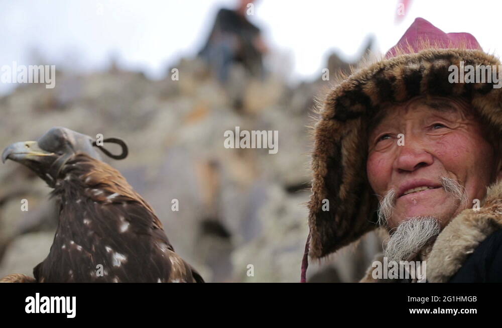 Bearded eagle Stock Videos & Footage - HD and 4K Video Clips - Alamy