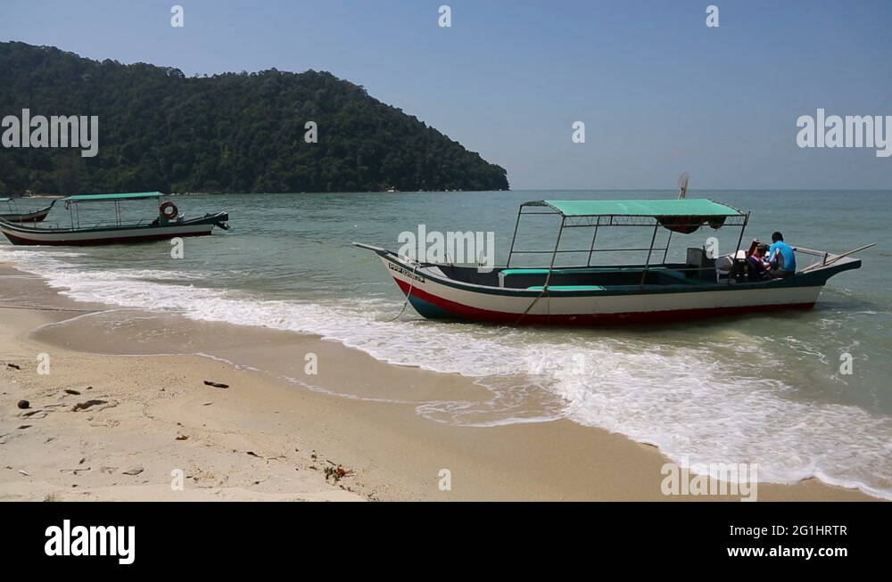Monkey beach malaysia Stock Videos & Footage - HD and 4K Video Clips ...