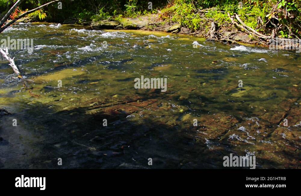Shallow Stream Bed with Religious Carvings in Cambodia Stock Video ...
