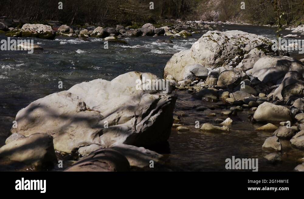 River among trees Stock Videos & Footage - HD and 4K Video Clips - Alamy