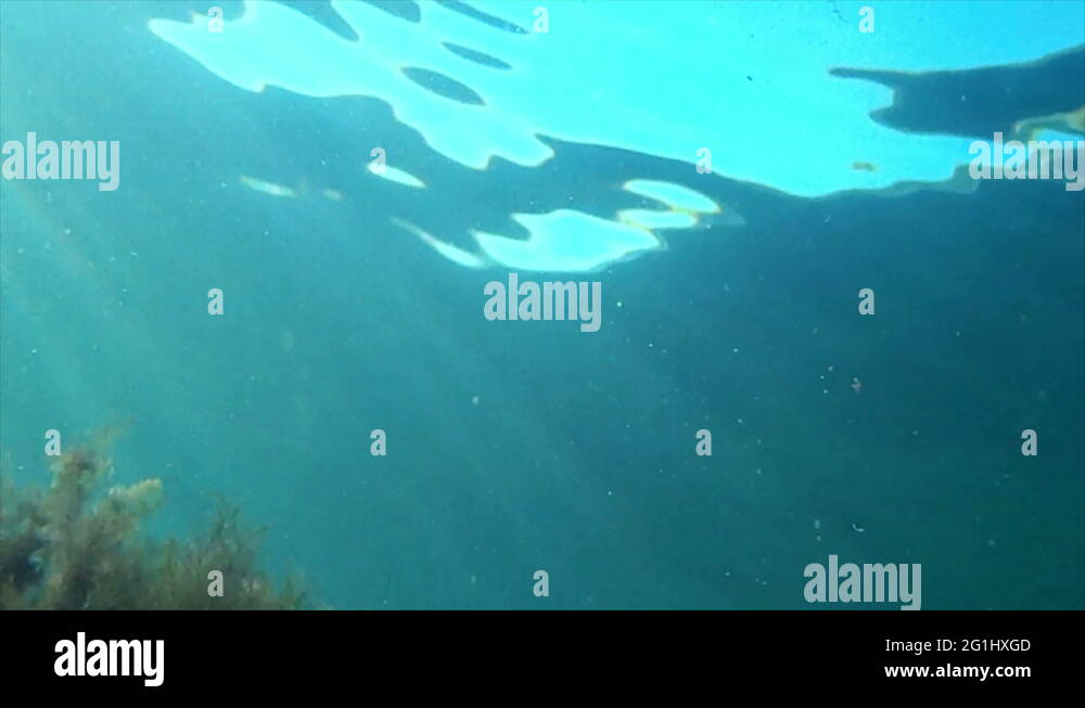 Slanting Stock Videos & Footage - HD and 4K Video Clips - Alamy