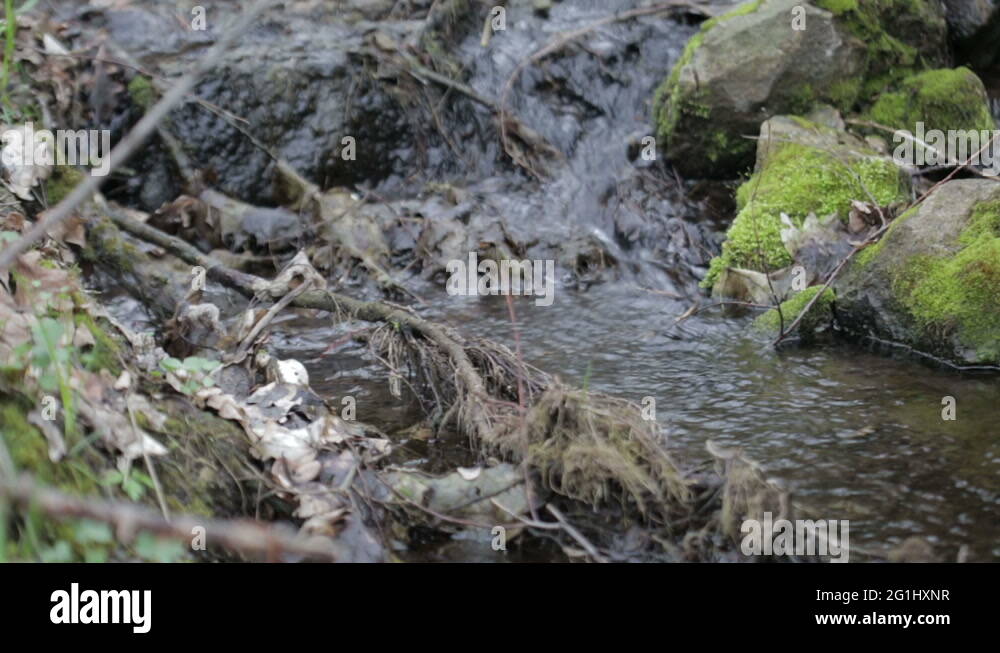 Vertical streams Stock Videos & Footage - HD and 4K Video Clips - Alamy