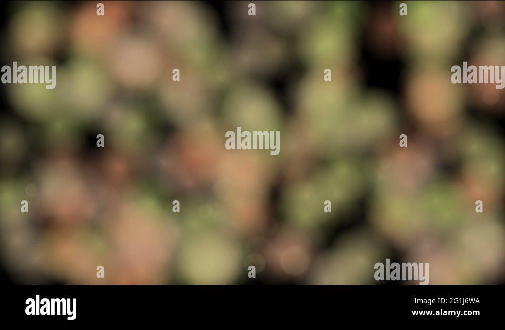 4k Abstract smoke firework fog mist dot noise background,microbe spore ...