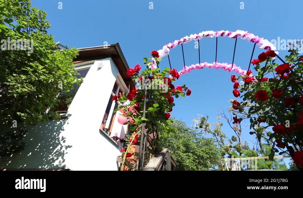 Garden arch with flower Stock Videos & Footage - HD and 4K Video Clips ...