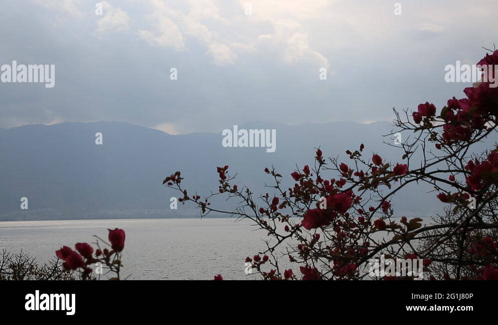 Dali beach Stock Videos & Footage - HD and 4K Video Clips - Alamy