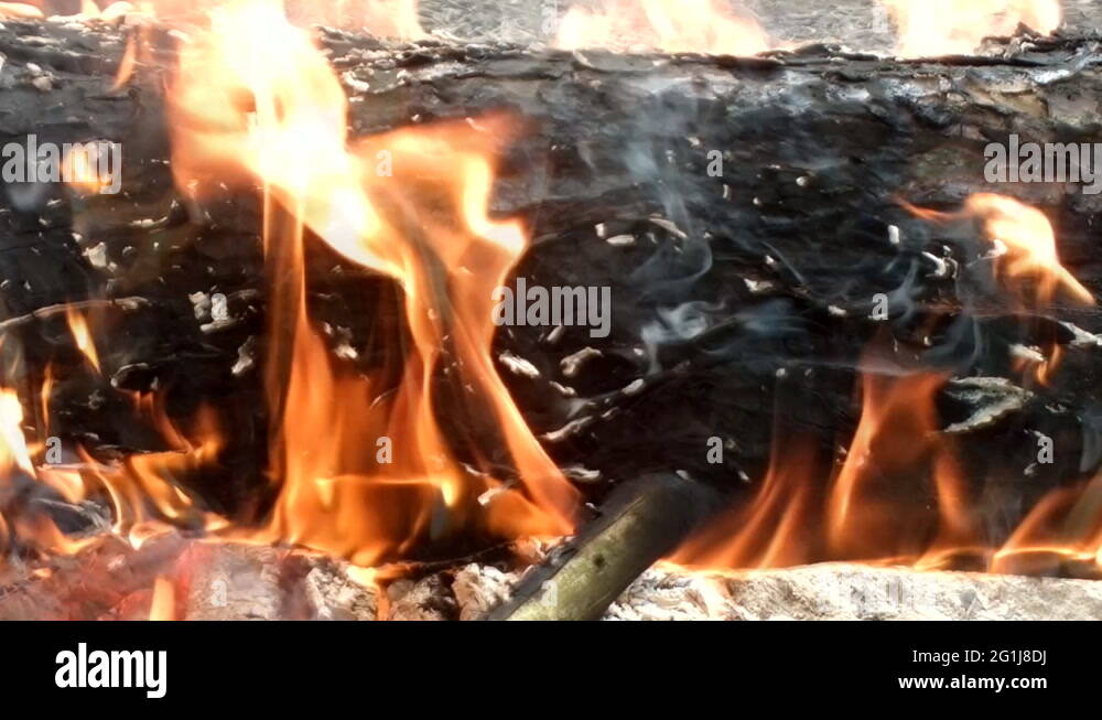 Prevention of forest fires Stock Videos & Footage - HD and 4K Video ...