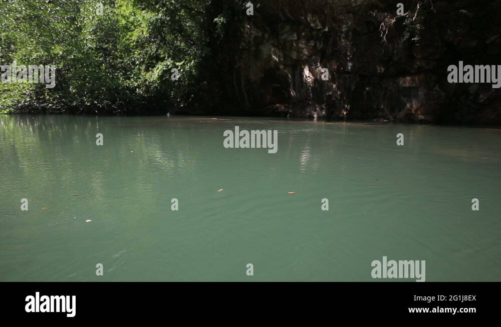 Mangrove swamp panorama Stock Videos & Footage - HD and 4K Video Clips ...