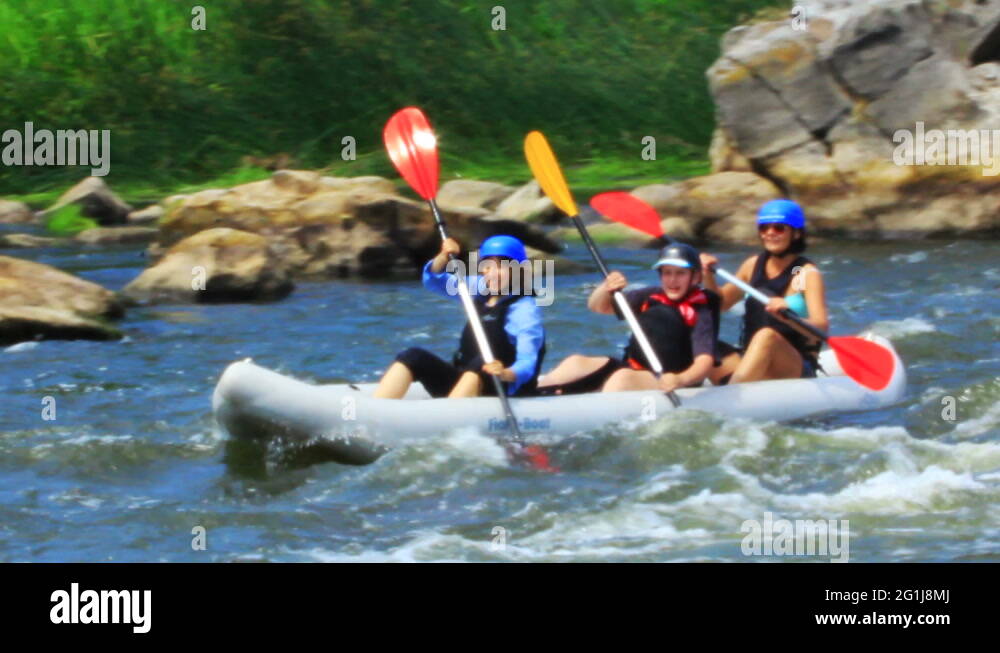 Womans team Stock Videos & Footage - HD and 4K Video Clips - Alamy