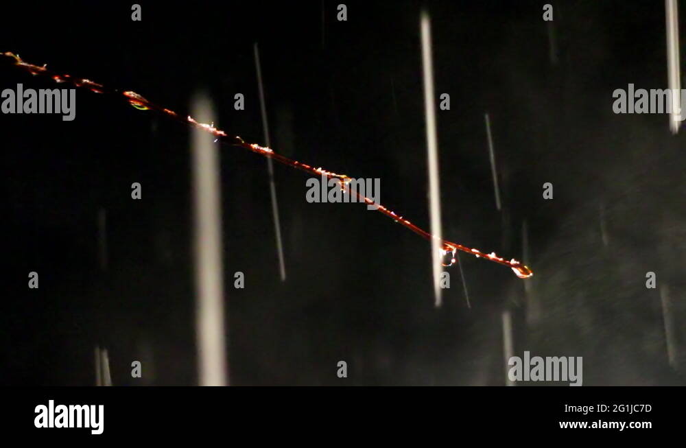 Snow water drop Stock Videos & Footage - HD and 4K Video Clips - Alamy