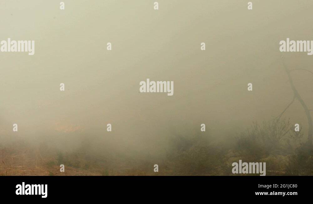 Terrible fire Stock Videos & Footage - HD and 4K Video Clips - Alamy