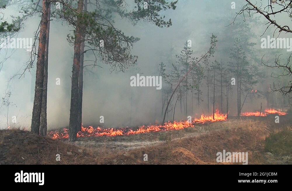 Fire tragedy Stock Videos & Footage - HD and 4K Video Clips - Alamy