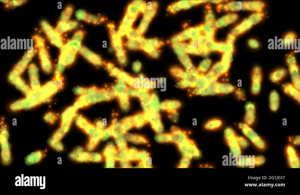 4k Abstract explosion fire fireworks spark particle,plankton worms ...