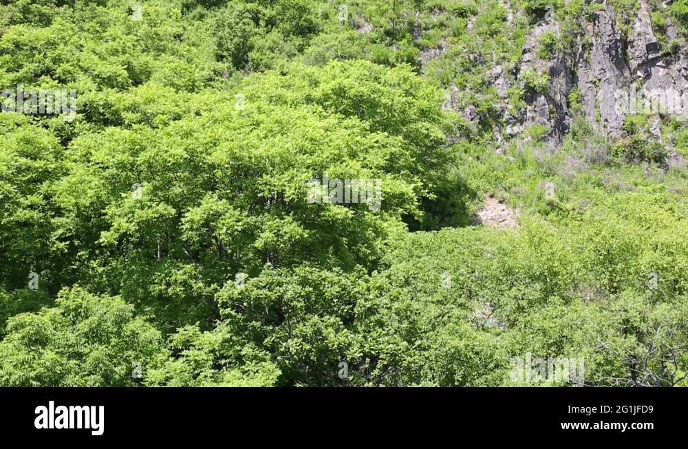 Clear ridge Stock Videos & Footage - HD and 4K Video Clips - Alamy