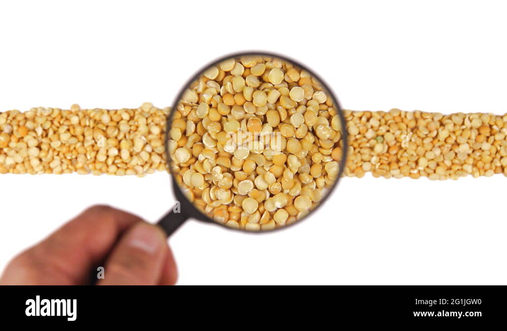 Magnifying glass increases the peas grains, motion up Stock Video ...