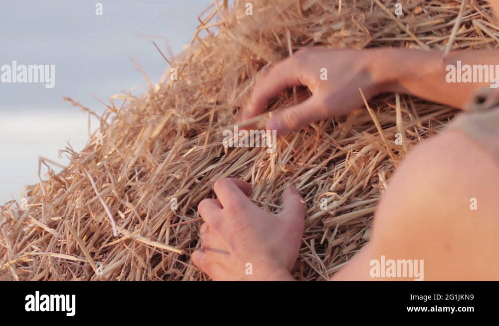 Needle in haystack Stock Videos & Footage - HD and 4K Video Clips - Alamy Needle in haystack Stock Videos & Footage - HD and 4K Video Clips - Alamy