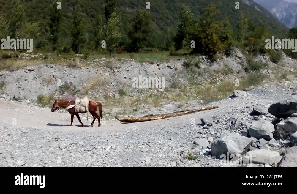 Stone pulling Stock Videos & Footage - HD and 4K Video Clips - Alamy