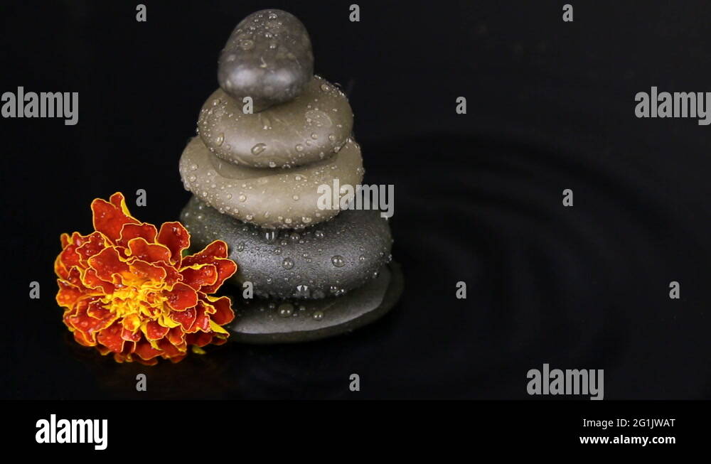 Flower pyramid Stock Videos & Footage - HD and 4K Video Clips - Alamy