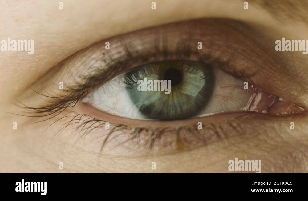 Gray female eye human eye Stock Videos & Footage - HD and 4K Video ...