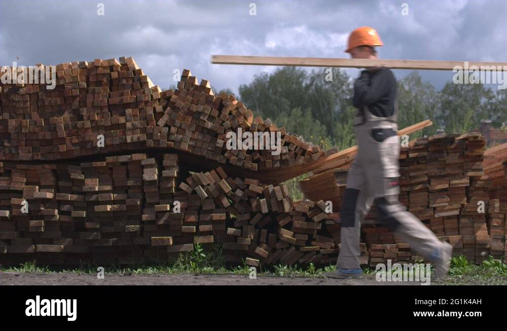Male carry on carrying Stock Videos & Footage - HD and 4K Video Clips ...