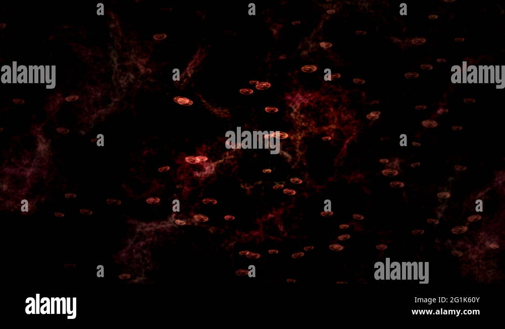 Blood cells under microscope Stock Video Footage - Alamy